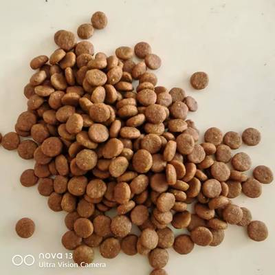 皇家猫粮泌尿处方粮LP34全价猫粮泌尿道系统结石配方猫咪情绪舒缓