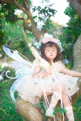 哇塞！捉到一只森林迷路的小精灵~『翅膀定制』