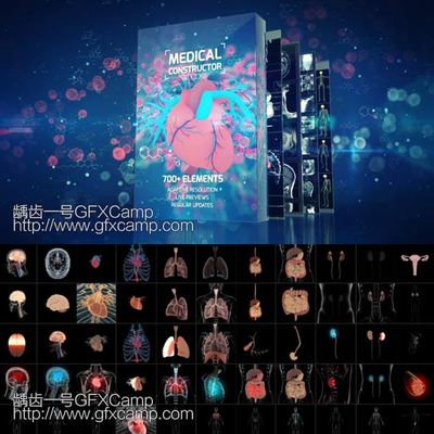 AE脚本 700个人体医疗骨骼器官X射线细胞DNA动画元素 AtomX