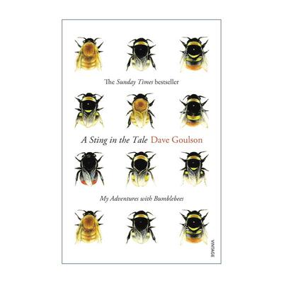 英文原版 A Sting in the Tale 我与拯救大黄蜂的故事 Dave Goulson 英文版 进口英语原版书籍