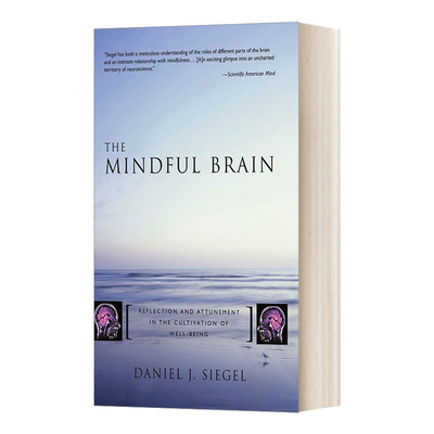 英语原版书籍正念之脑