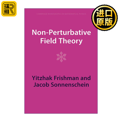 英文原版 Non-Perturbative Field Theory 非微扰场论 从二维共形场论到四维量子色动力学 剑桥数学物理学专著 进口英语原版书籍