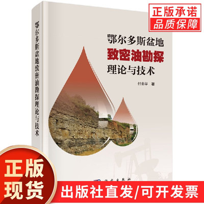 鄂尔多斯盆地致密油探勘理论与技术