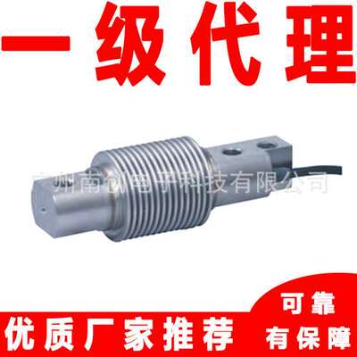F60X-50kg F60X-500kg C3/C4/C6 CH 10e 6-W TR Scaime世感传感器