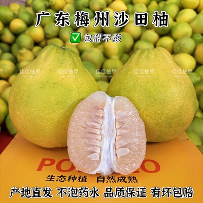 包甜不酸广东梅州沙田柚白心金柚纯甜当季新鲜孕妇水果非容县包邮