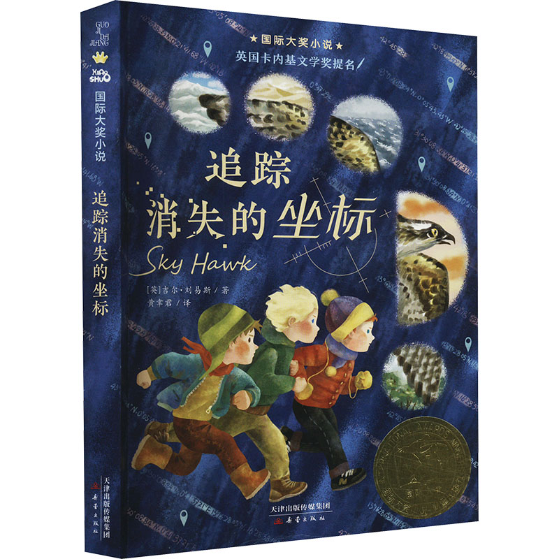 追踪消失的坐标(英)吉尔·刘易斯儿童文学少儿新蕾出版社