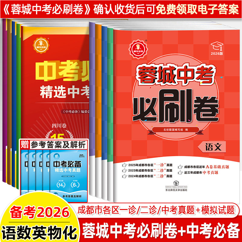 2026蓉城中考必刷卷化学中考必备试卷九年级下册语数英物练习实验探究专题训练易错中考常见题型单元作业预习巩固复习检测课时名校