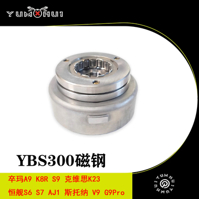 隆鑫YBS300发动机磁钢转子