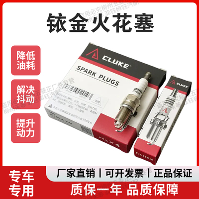 路客官方正品五菱星云星辰佳辰凯捷荣光宏光之光征程铱金火花塞