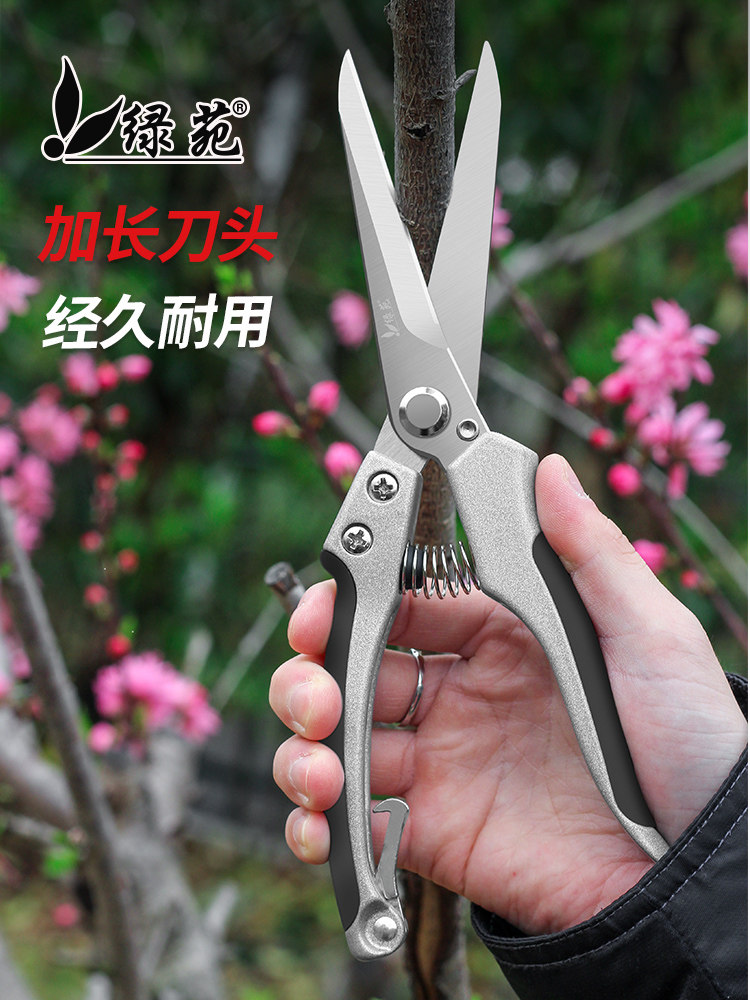 绿苑稀果剪修枝采摘剪火龙果剪刀采果神器园艺修花工具疏果摘果剪