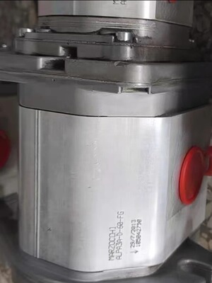 MARZOCCHI马祖奇 ALPP2-D-40-FG ALPA3A-D-60-FG齿轮泵