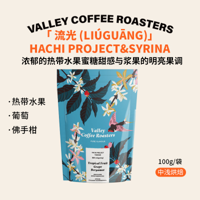 山谷咖啡|葡萄 佛手柑 hachi流光新产季云南赛琳娜甜中浅烘咖啡豆