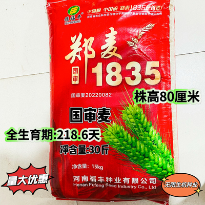 国审郑麦1835小麦种子原厂正品早熟高产稳产抗冻抗病抗倒强筋小麦