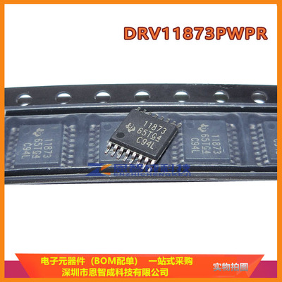 DRV11873PWPRTSSOP16驱动器