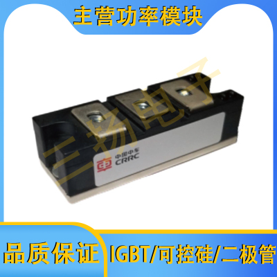 双极模块TMTC160-18拍前询