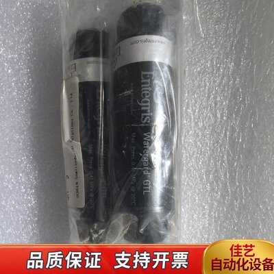 entegris wafergard gtl 过滤器