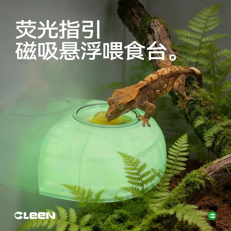 其鳞夜光果泥食盆爬宠睫角巨人守宫蜥蜴乌龟磁吸悬挂喂食喂水盆