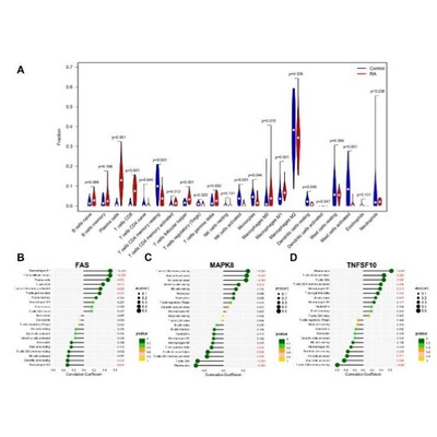 CLIP-seqRNA互作服务蛋白甲基化分析