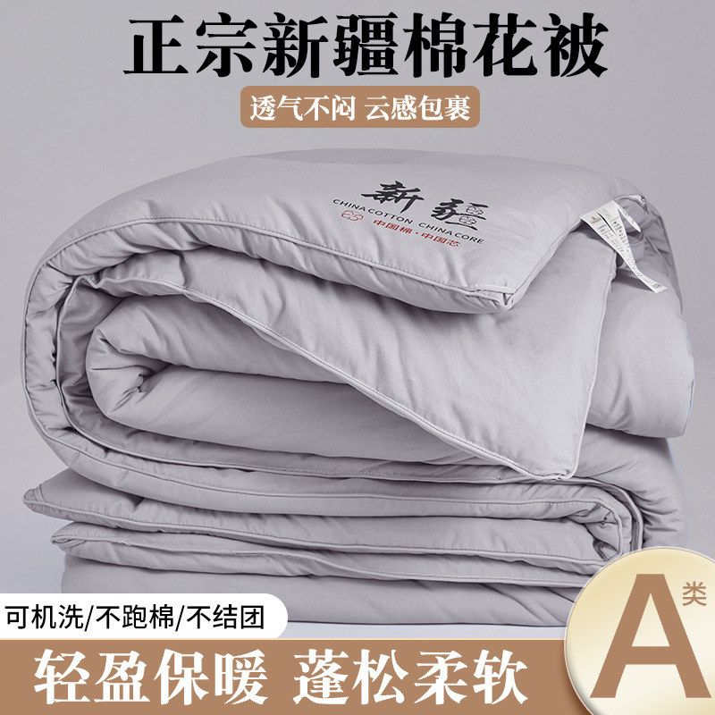 A类母婴级100%新疆棉花被 加厚保暖学生宿舍冬被春秋被子四季被芯