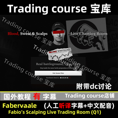 fabio Scalping Live Trading Room (Q1) 人工字幕翻译+中文配音