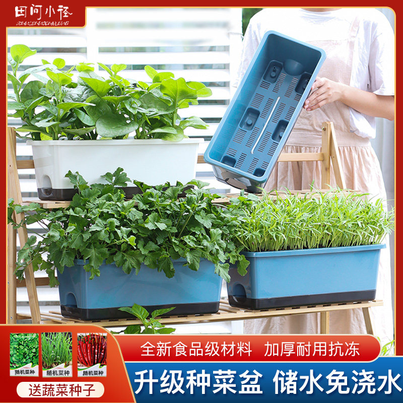 阳台种菜盆塑料花盆长条花盆盆栽蔬菜盆香葱种植盆草莓专用种植箱