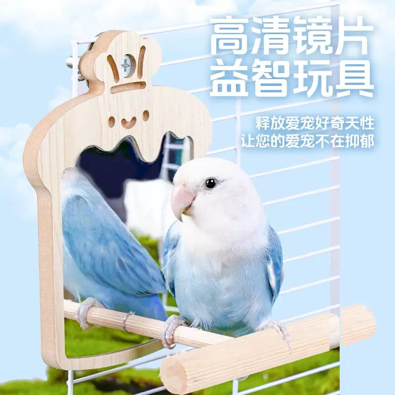 鹦鹉镜子站架玄凤牡丹虎皮站棍站杆站棒鸟笼造景玩具用品趣味互动