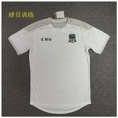 俄超球员训练男足球修身运动速干短袖上衣  #23074