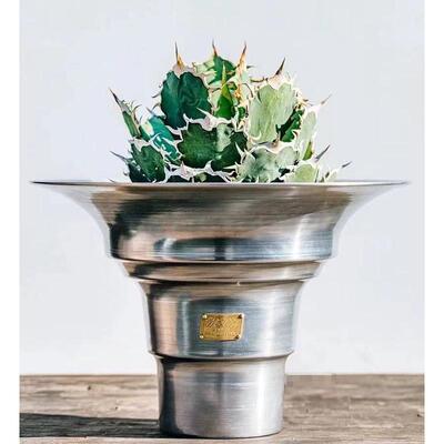 块根龟甲龙多肉金属盆masses m&m龙舌兰象足漆树铝制木村花盆