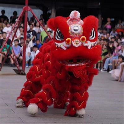 舞狮双人成人舞狮子套装一整套舞龙狮子头舞狮儿童舞狮全套一整套