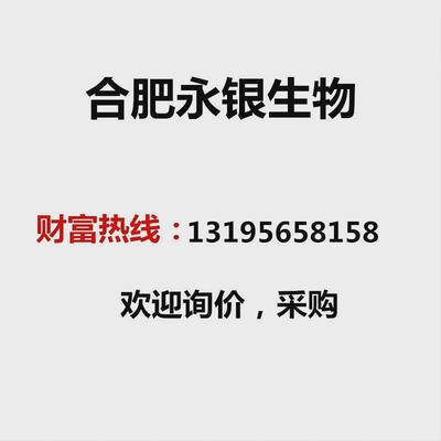 厂家直销卡巴匹林钙含量99%量大从优5749-67-7厂家直供25kg/桶