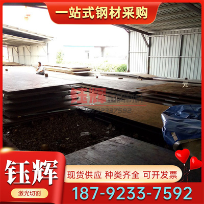 RQTAl21 0115-00球墨铸铁 生铁 GG15 FCD450 灰口铸件 锻件 铸件