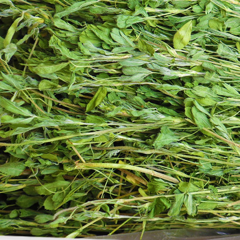 苜蓿草2026年新草 兔子龙猫牧草豚鼠饲料干草毛重1000克净重750克