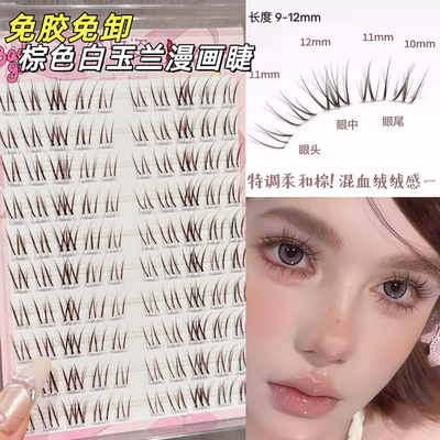 棕色白玉兰漫画自然新手假睫毛