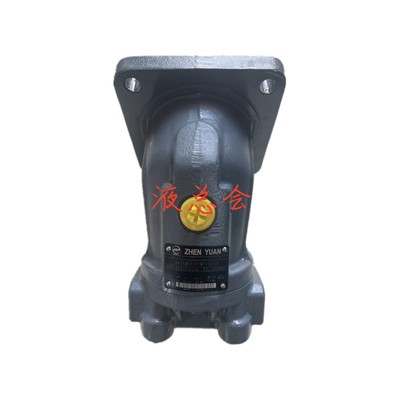 ZHENYUAN液压马达AA2FM32/61W-VSD526质保一年