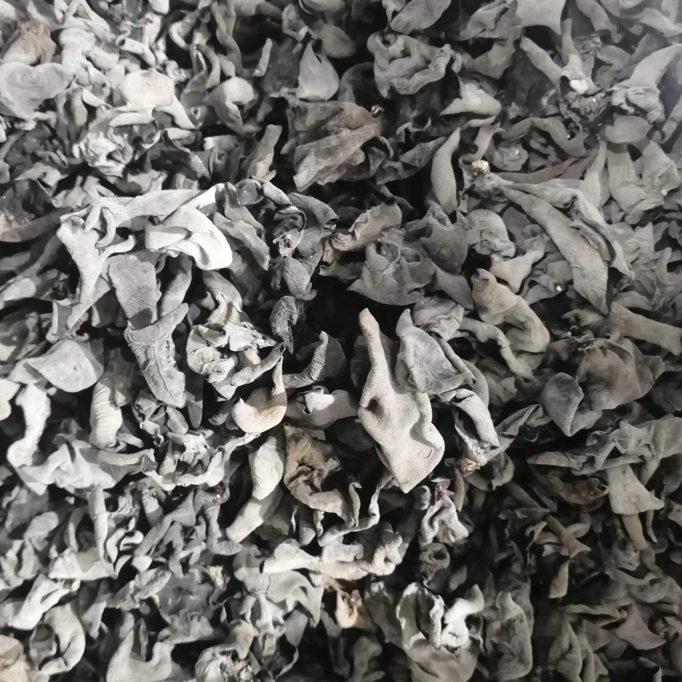 东北长白山特产黑木耳