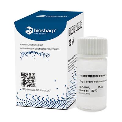 Biosharp10×多聚赖氨酸BL1440A