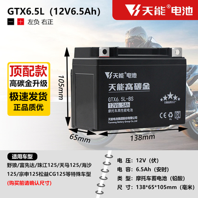 电瓶YTX6.5摩托车珠江ZJ125钱江豪江飞鹰天马CG125富先达蓄电池