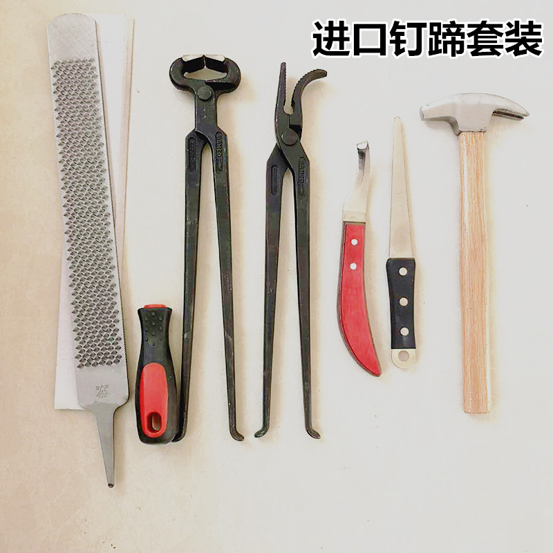 进口修马蹄工具套装 马蹄钳钉掌马术运动马匹清洁马房用品