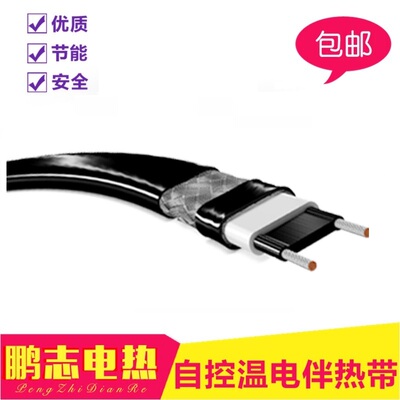 raychem美国瑞侃电伴热带