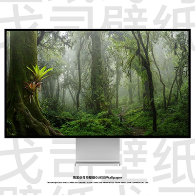 GUESSWP 5张热带雨林4K壁纸超清自然风景森林电脑手机平板壁纸Z15