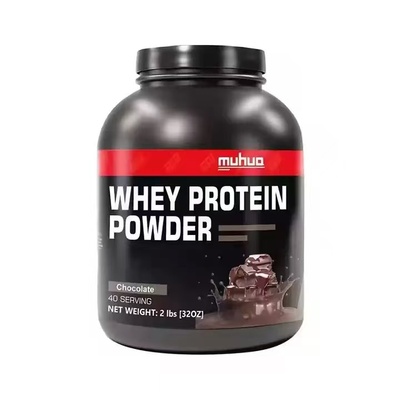 WHEYPROTRINPOWDER巧克力味
