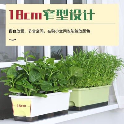 阳台18CM窄边长方形种菜盆种植箱香葱草莓番茄盆家庭果蔬种植神器