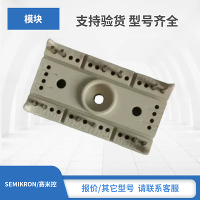 SEMIKRON赛米控IGBT模块SK50GARL065E SK50GAR065 SK50GARL065