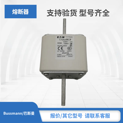 170M6698 170M6699 170M6700 170M6701原装Bussman巴斯曼熔断器