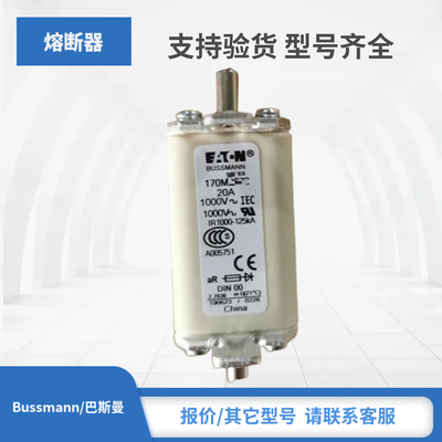 170M2697 170M2698 170M2699 170M2700巴斯曼BUSSMANN熔断器现货