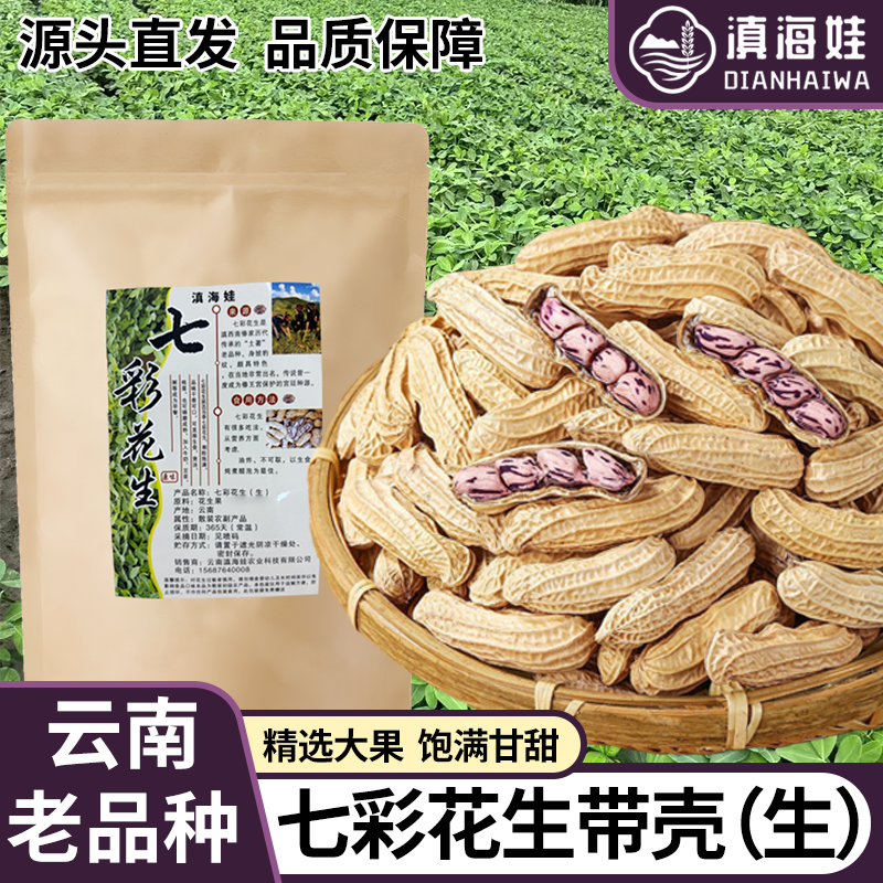 2025新货带壳七彩生花生云南特产坚果零食500g煮粥煲汤五彩色花生