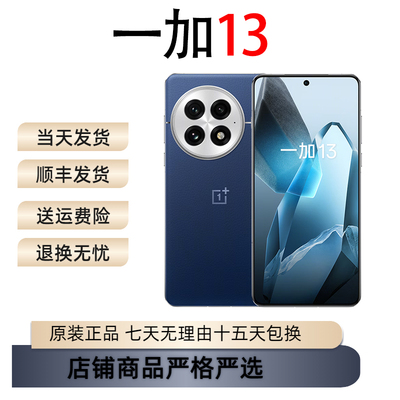OnePlus/一加 一加 13