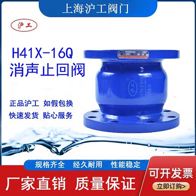 德国进口消声缓阻缓闭单向止回阀