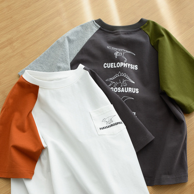 儿童拼色插肩短袖男女童恐龙短袖
