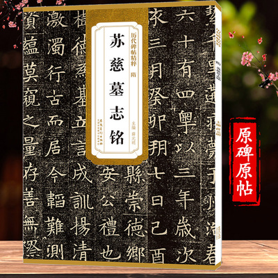 苏孝慈墓志铭/历代碑帖精粹